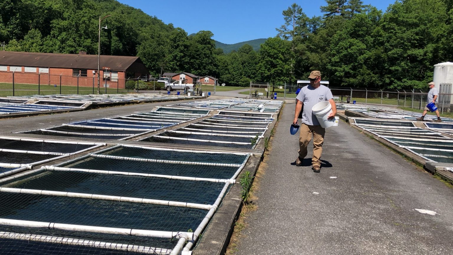 Collaborative Designs at Bobby N. Setzer Fish Hatchery