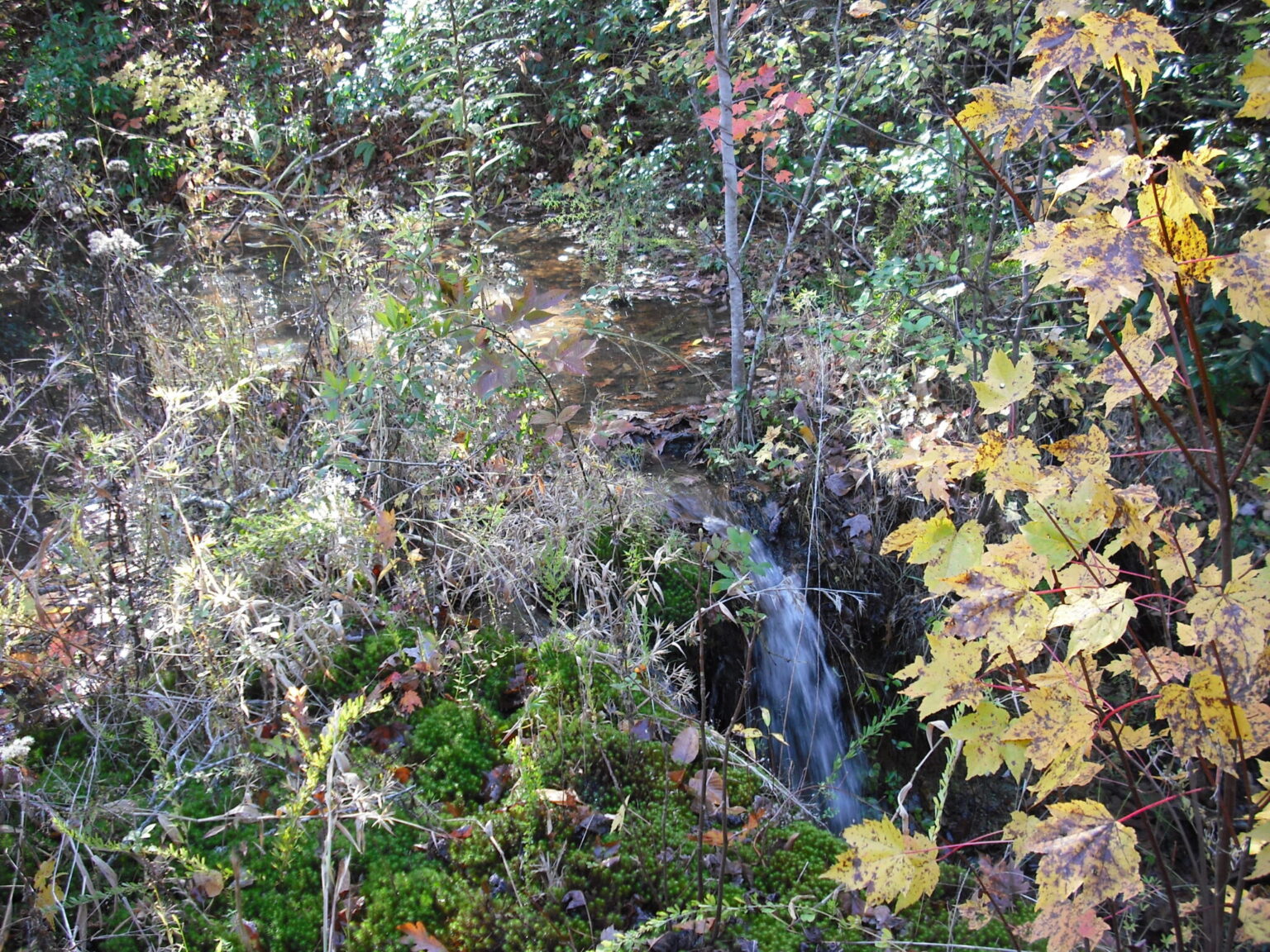 Greener Water Alternatives in the Town of Andrews | McGill Associates