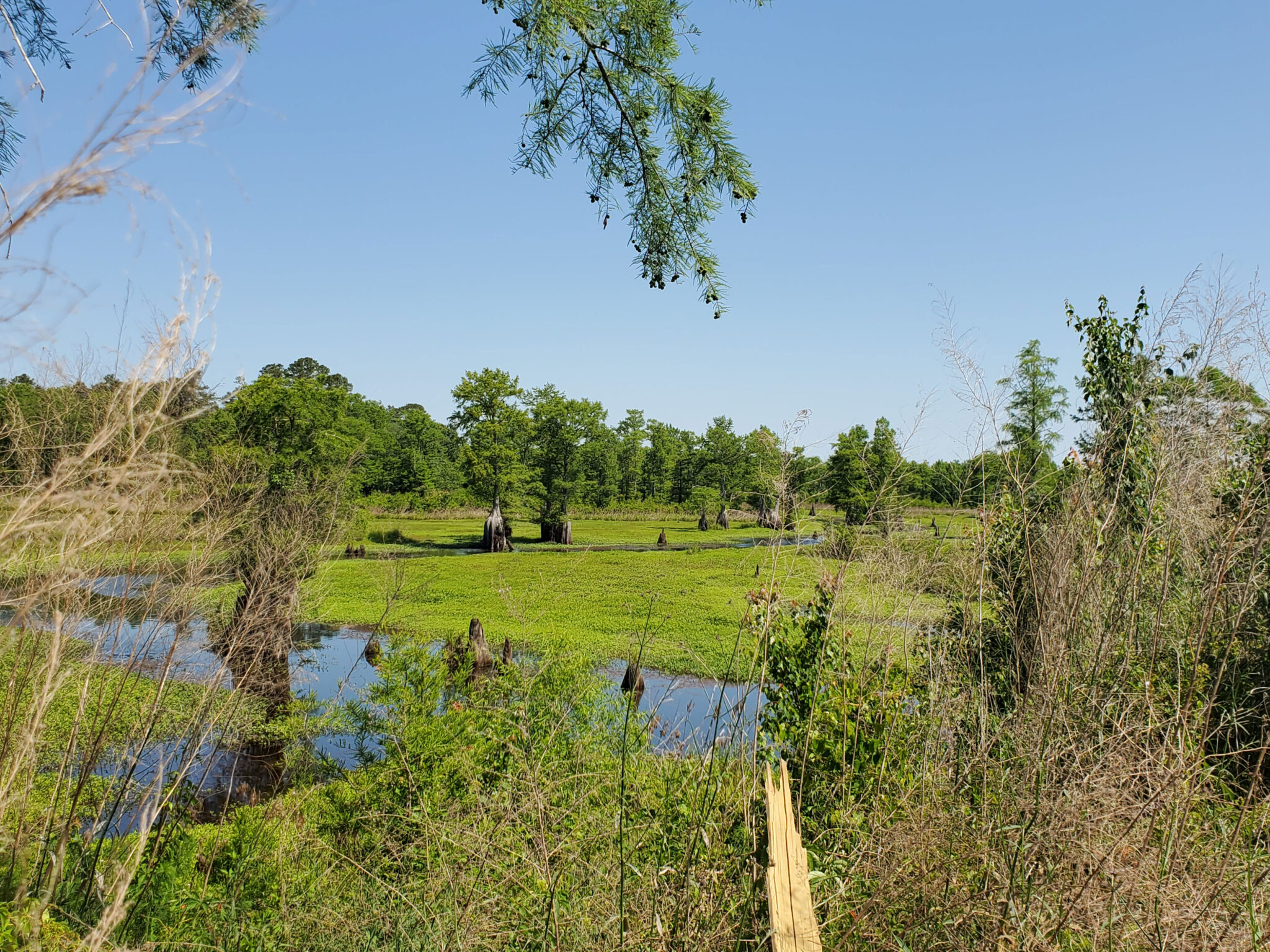 Rhodes Pond Dam and Spillway Groundbreaking Ceremony | McGill Associates