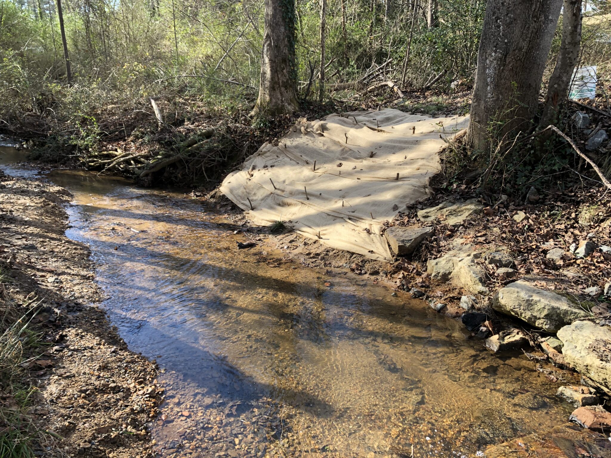 Live Staking: An Opportunity to Engage the Community in Environmental ...